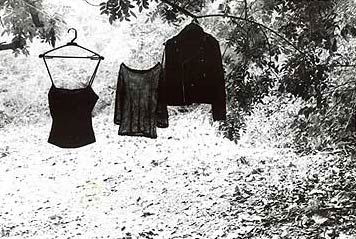 Sara Azarmi photograph